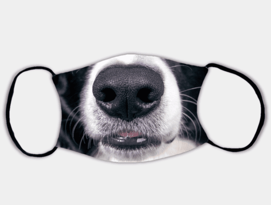 Country Images - Border Collie Face Mask with 2 x PM2.5 Filters ...